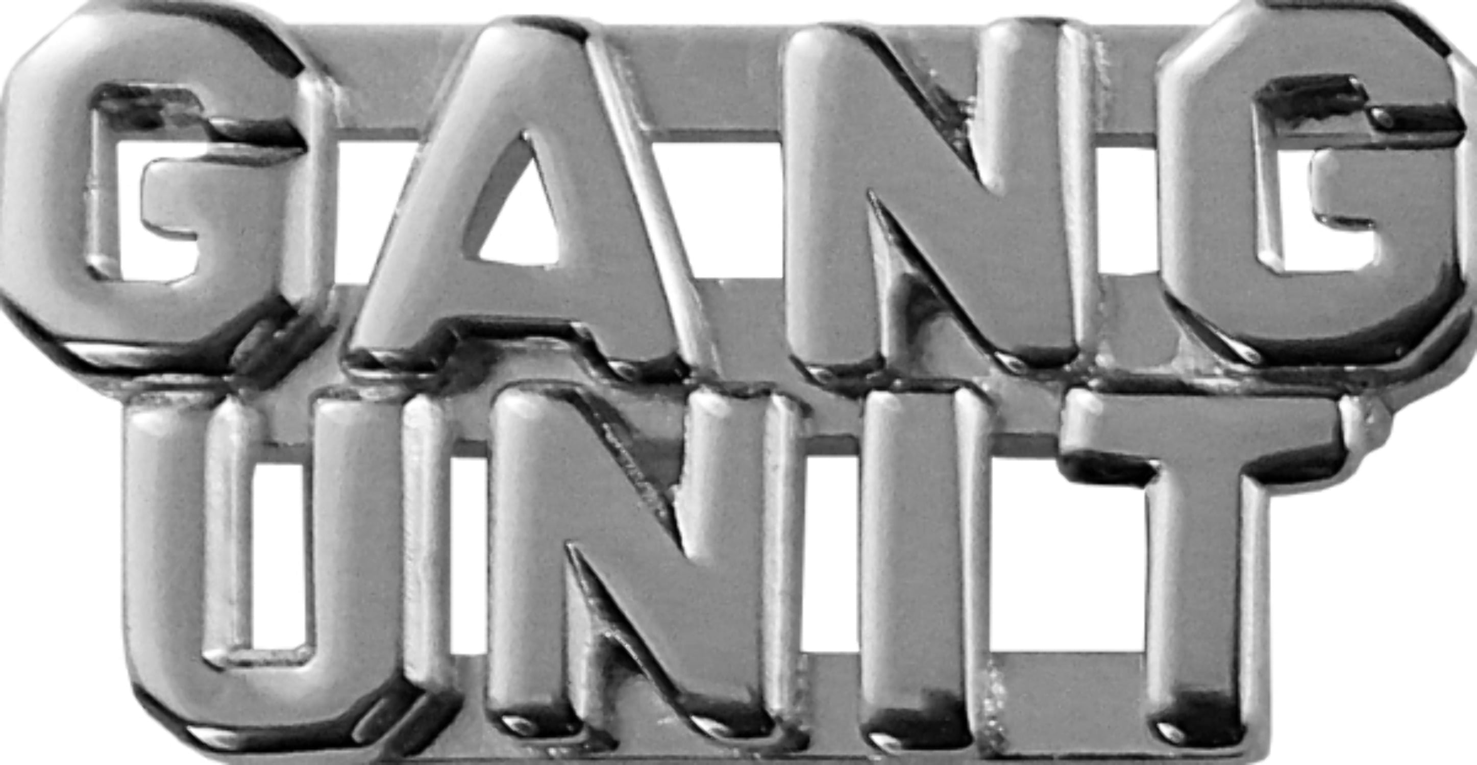 Hero's Pride GANG UNIT Die Struck Letters, Nickel Finish, Pair ...