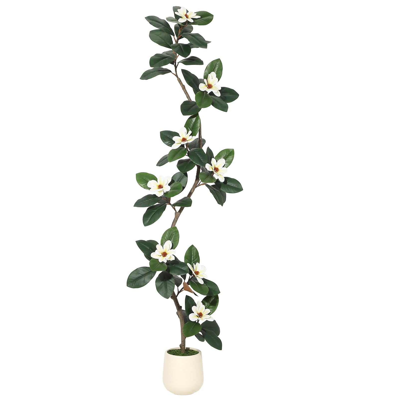 GAOMON 7ft Artificial Rubber Tree with 8 Pcs Magnolia Flowers,Tall Fake ...
