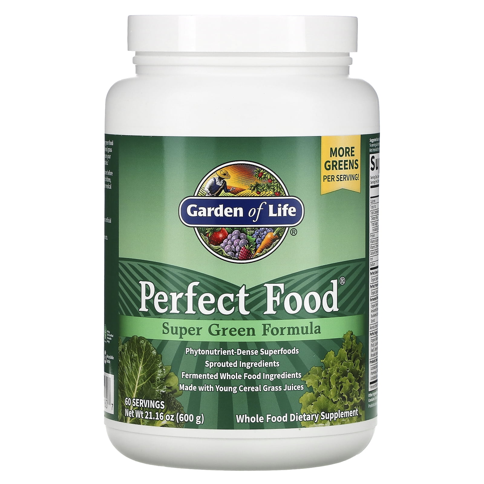 Garden of Life Organic Superfood Powder - Perfect Food Super Green ...