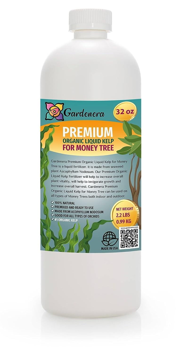 GARDENERA Money Tree Superfood - 32 oz - Premium Liquid Kelp Fertilizer ...