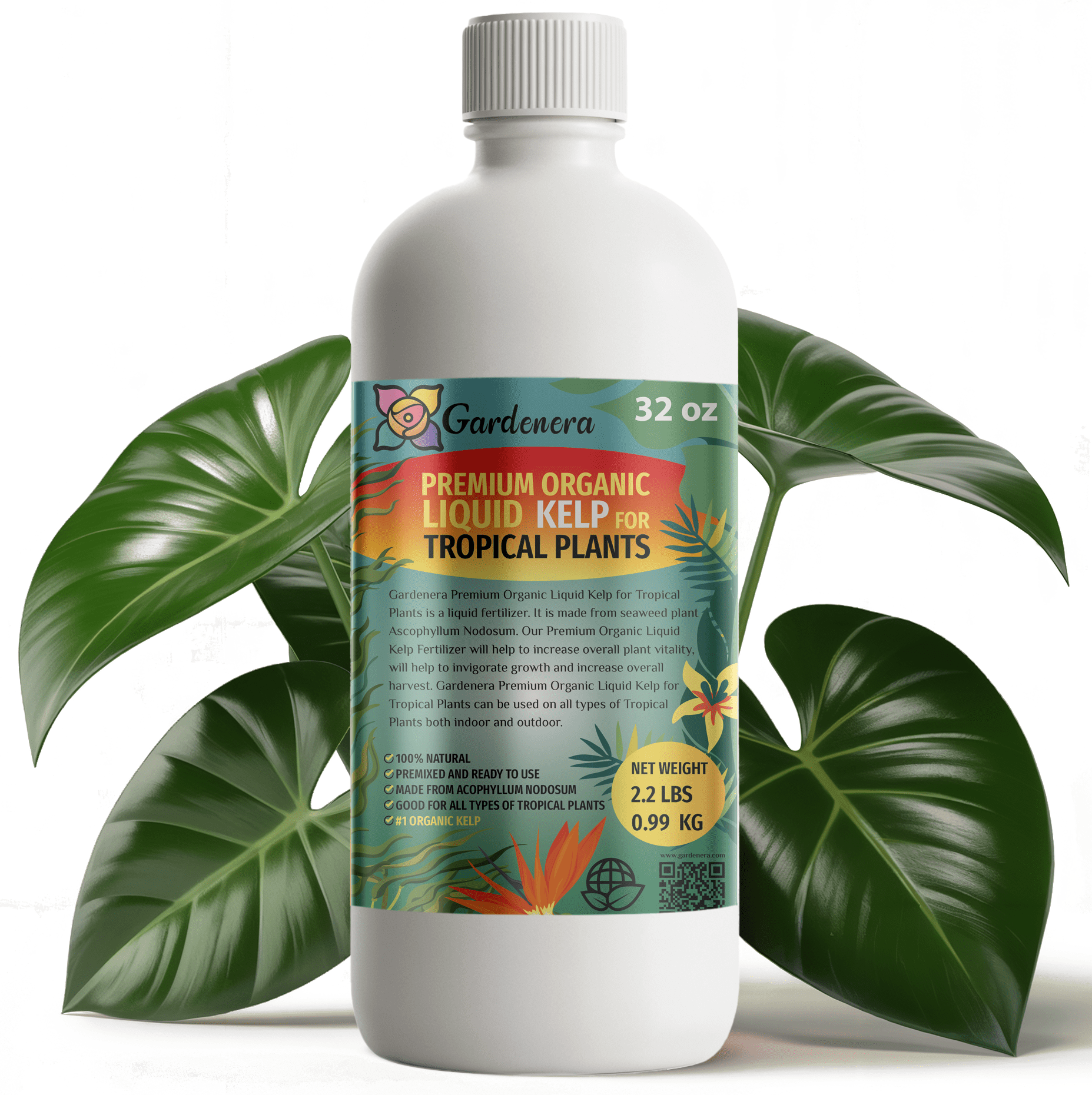 ⭐ GARDENERA Premium Organic Seaweed & Kelp Superfood for TROPICAL TREES ...