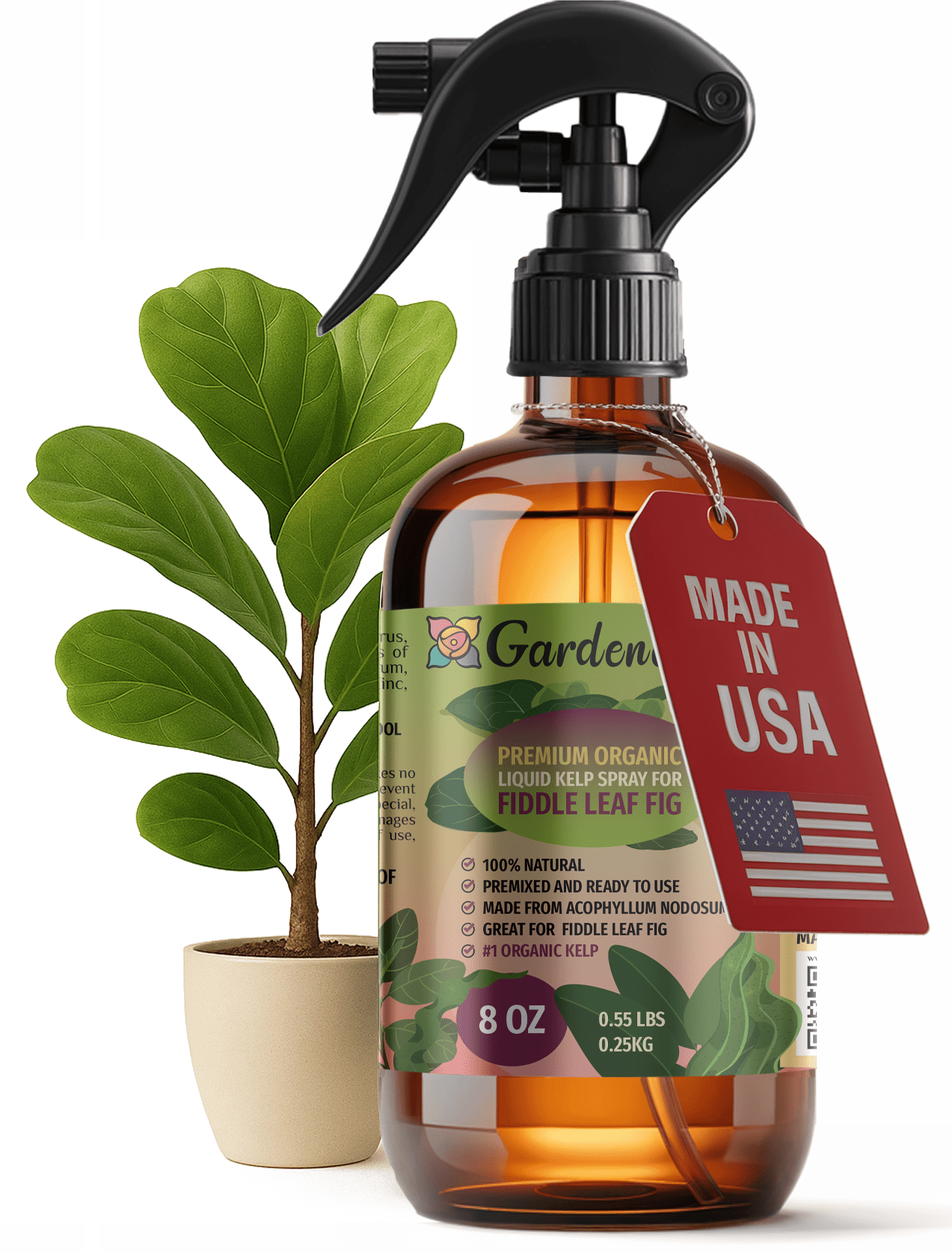 ⭐ GARDENERA Professional Organic Liquid Kelp Spray for FIDDLE LEAF FIG ...