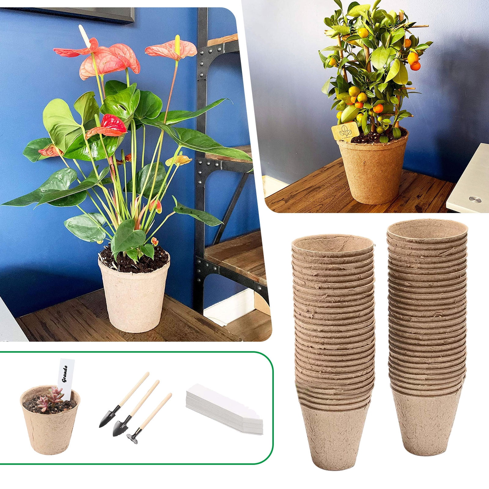 GARENAS Biodegradable Seedling Kit Pulp Peat Pot Set for Growing Tools ...