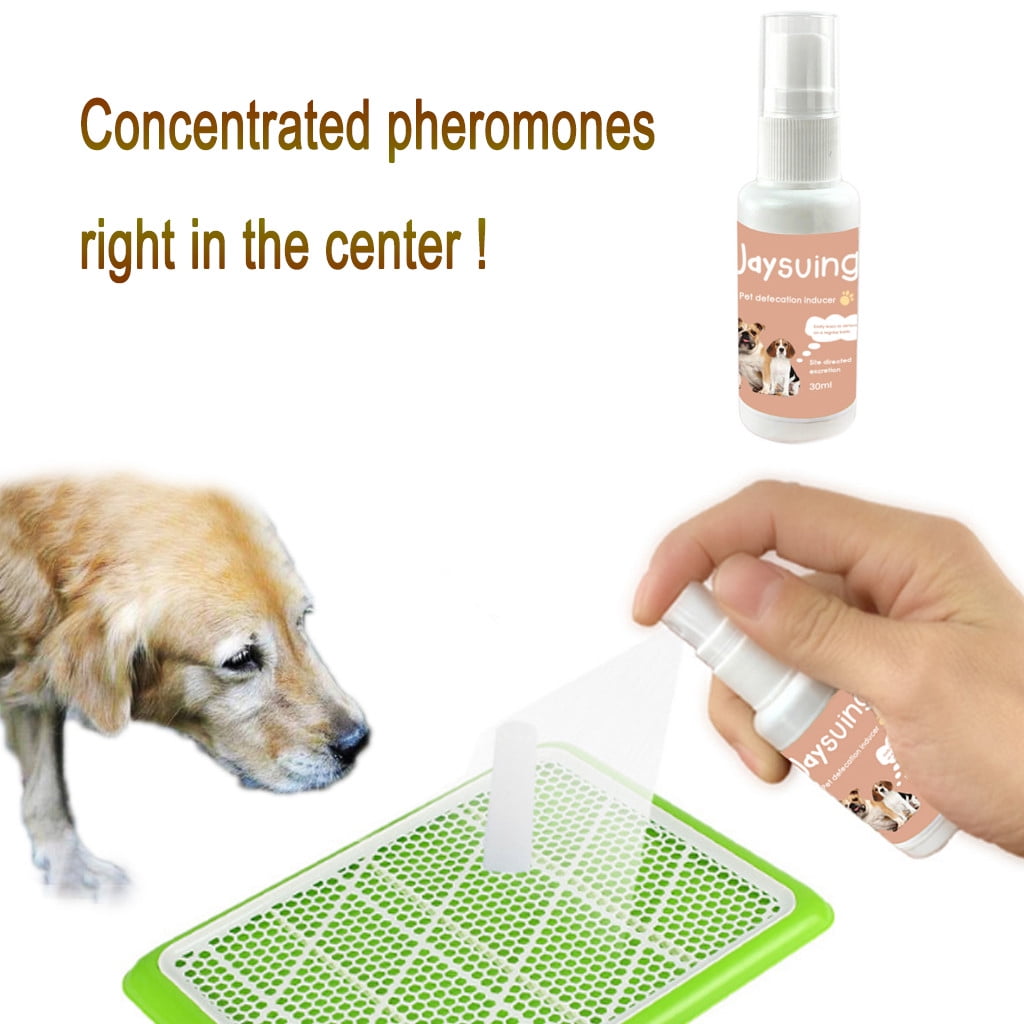 GARENAS Dog Potty Training Spray 30Ml Pet Toilet Training Spray Dog ...