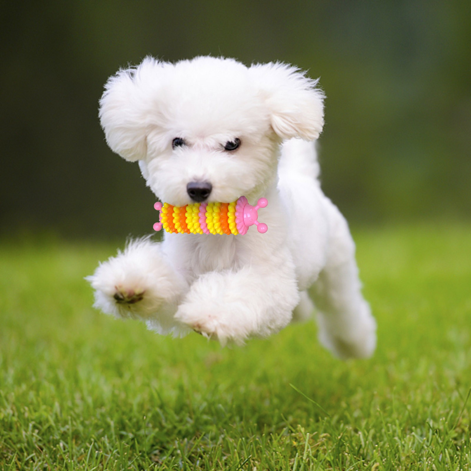 GARENAS Kong Dog Toys 1 PCS Shape Chew Toys for Aggressive Chewers ...