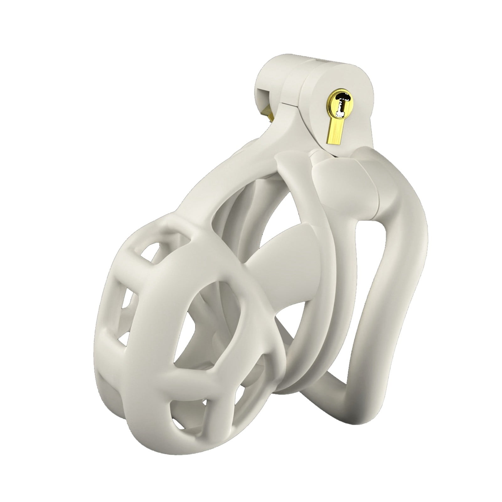 GARENAS Outside Christmas Decorations Male Cage Device Resin Cage Male ...