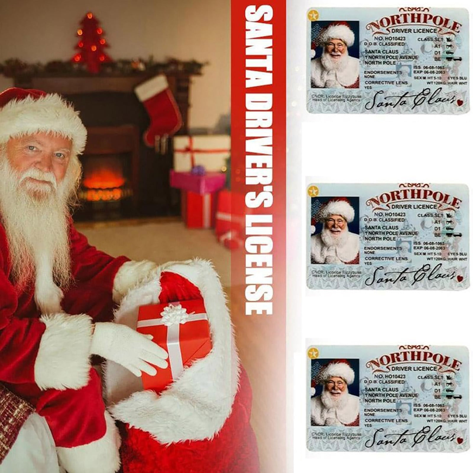 GARENAS Santa Lost Driver's License Card DIY Santa Lost ID Card Santa ...