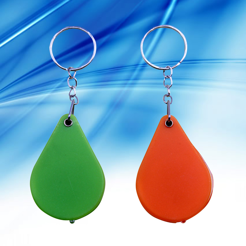 GARVALON 2Pack Mini Magnifier Keychain for Travel Green Acrylic and ...