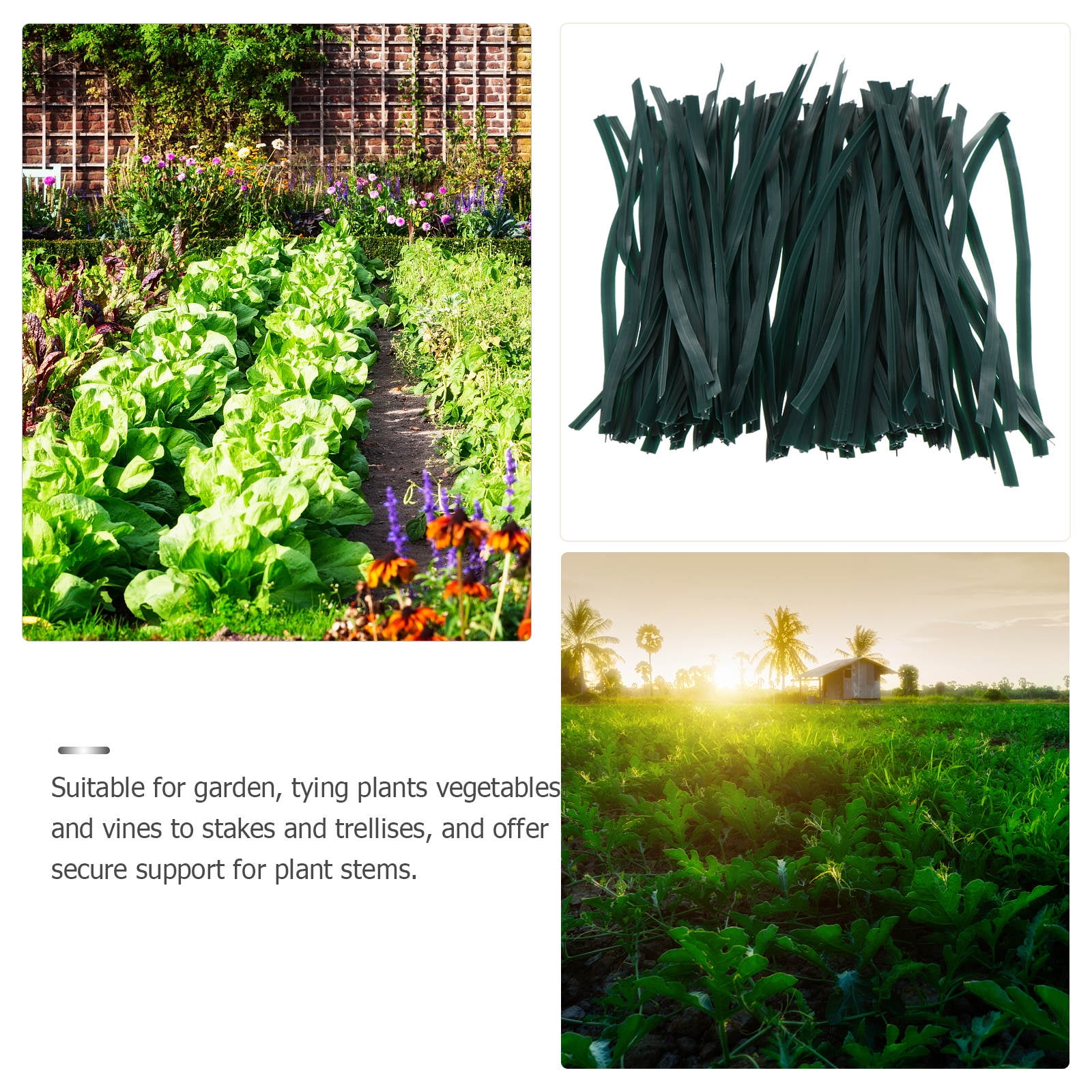 GARVALON 500Pcs Green Wire Ties for Garden Ties for Trees in Greenhouse ...