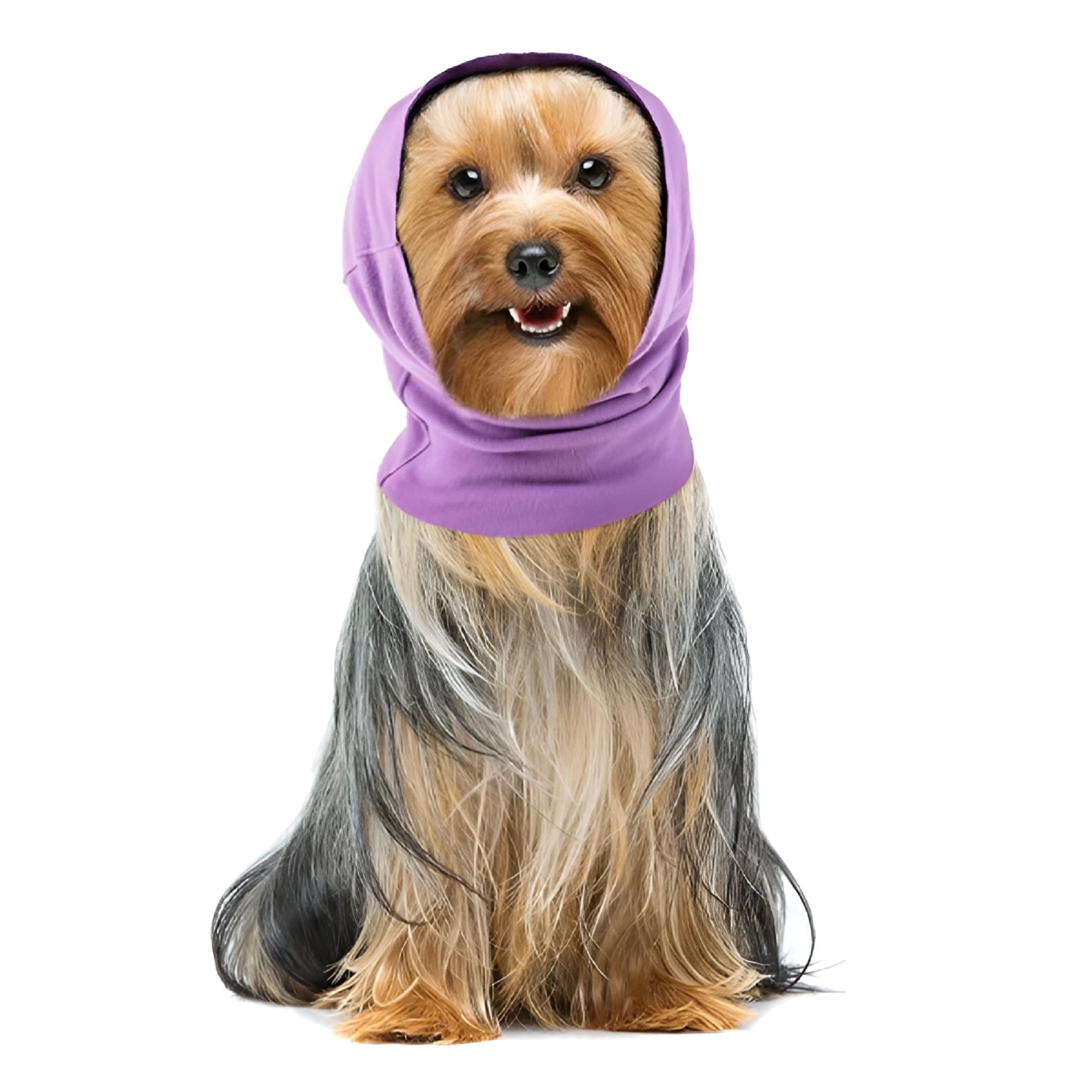 GASTROPOD 2 Pieces No Flap Ear Wraps for Dogs Dog Ear Muffs Ear Covers ...