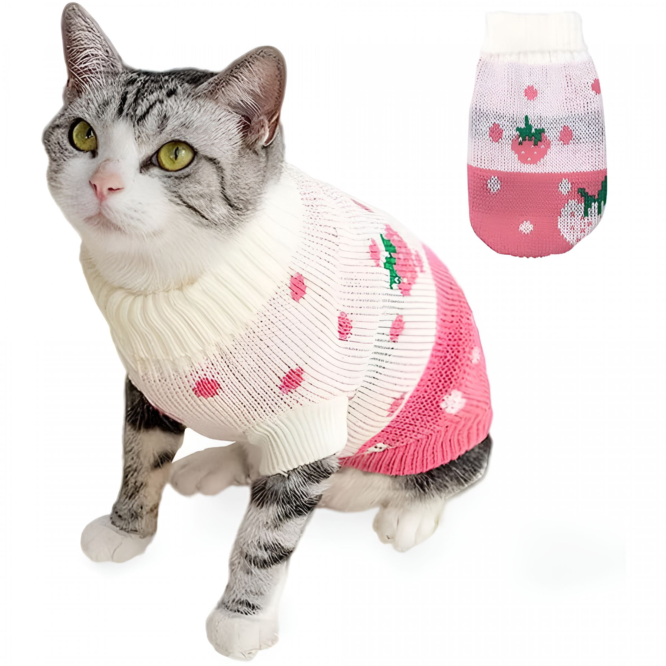 GASTROPOD 2026 New Cat Knit Jumper, Hairless Cat Clothes, Adorable Cat ...