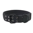 GASTROPOD 2026 New Tactical Dog Collar,Sparkling Decoration Effect Dog ...