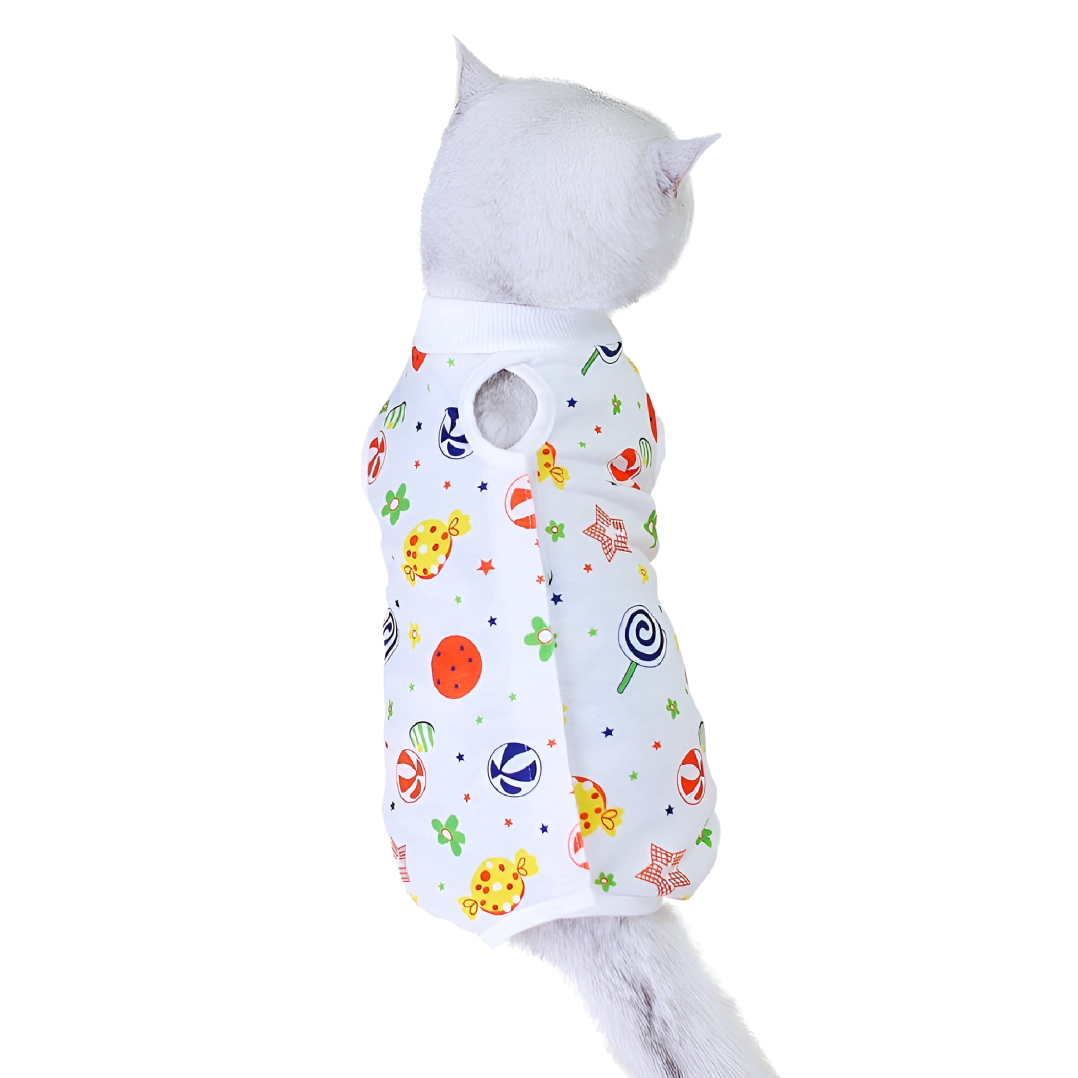 GASTROPOD Cat Recovery Suit-Kitten Onesie for Cats After Surgery Cone ...