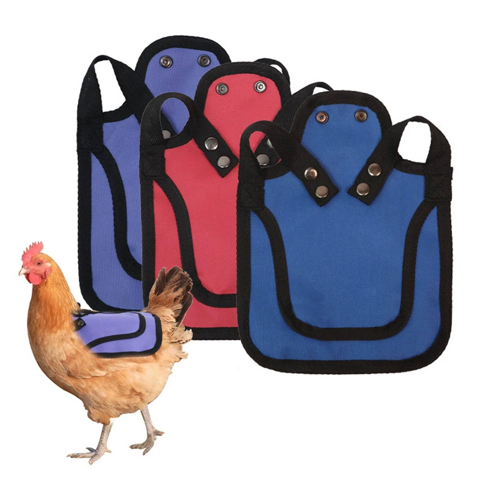 GASTROPOD Chicken Saddles,Back Protection Chicken Vest,Hen Saddle ...