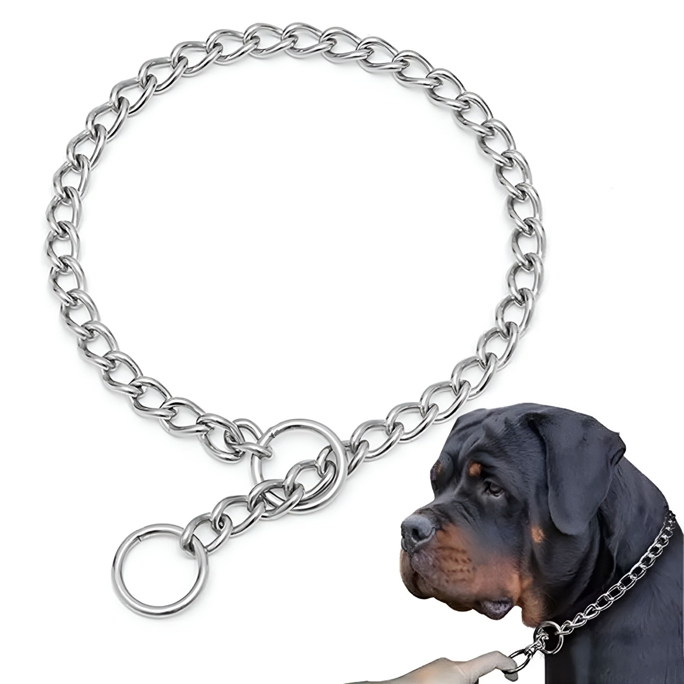 GASTROPOD Dog Chain Collar for Training & Walking Control,Adjustable ...