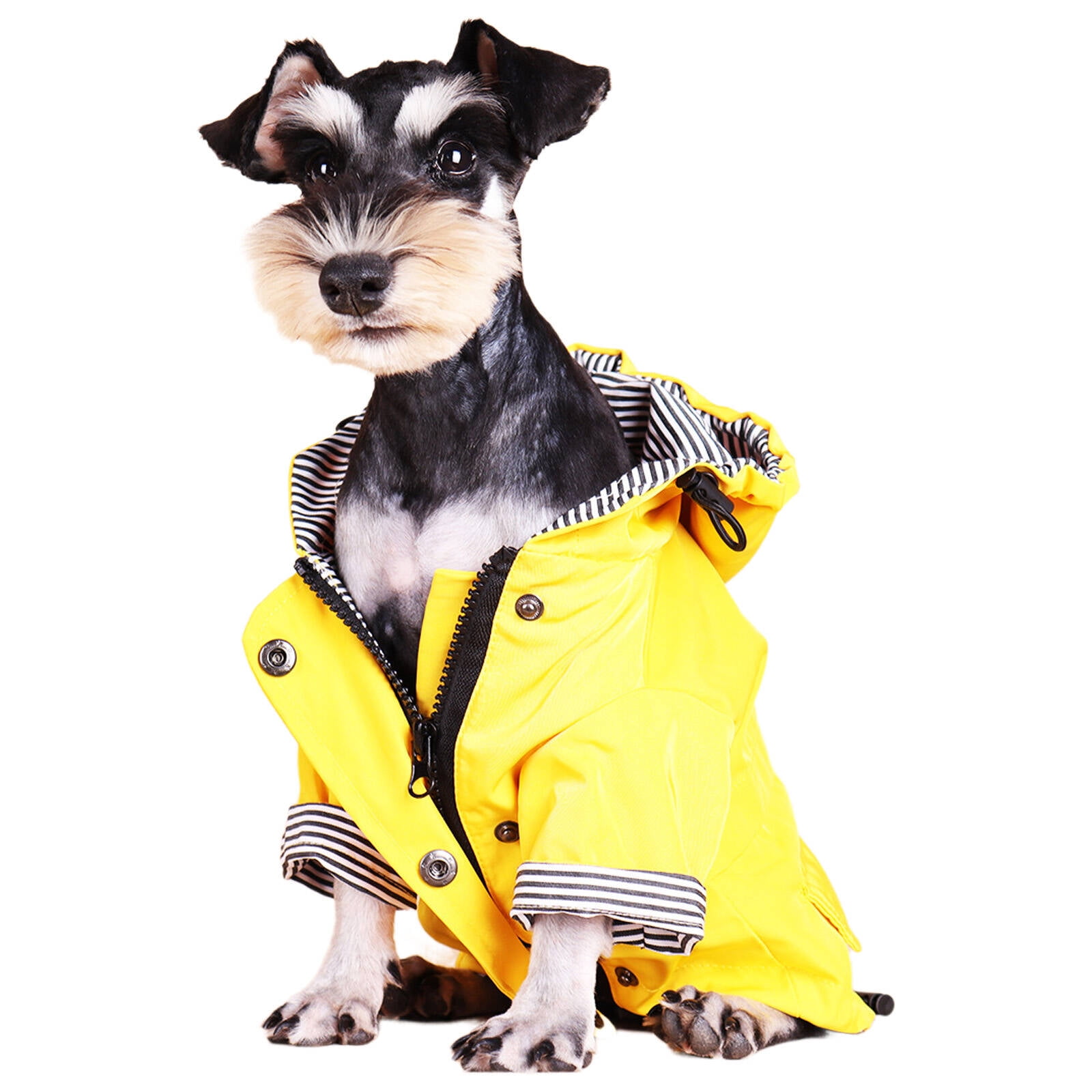 GASTROPOD Dog Costume,Pet Dogs Hooded Raincoat Soft and Comfortable ...