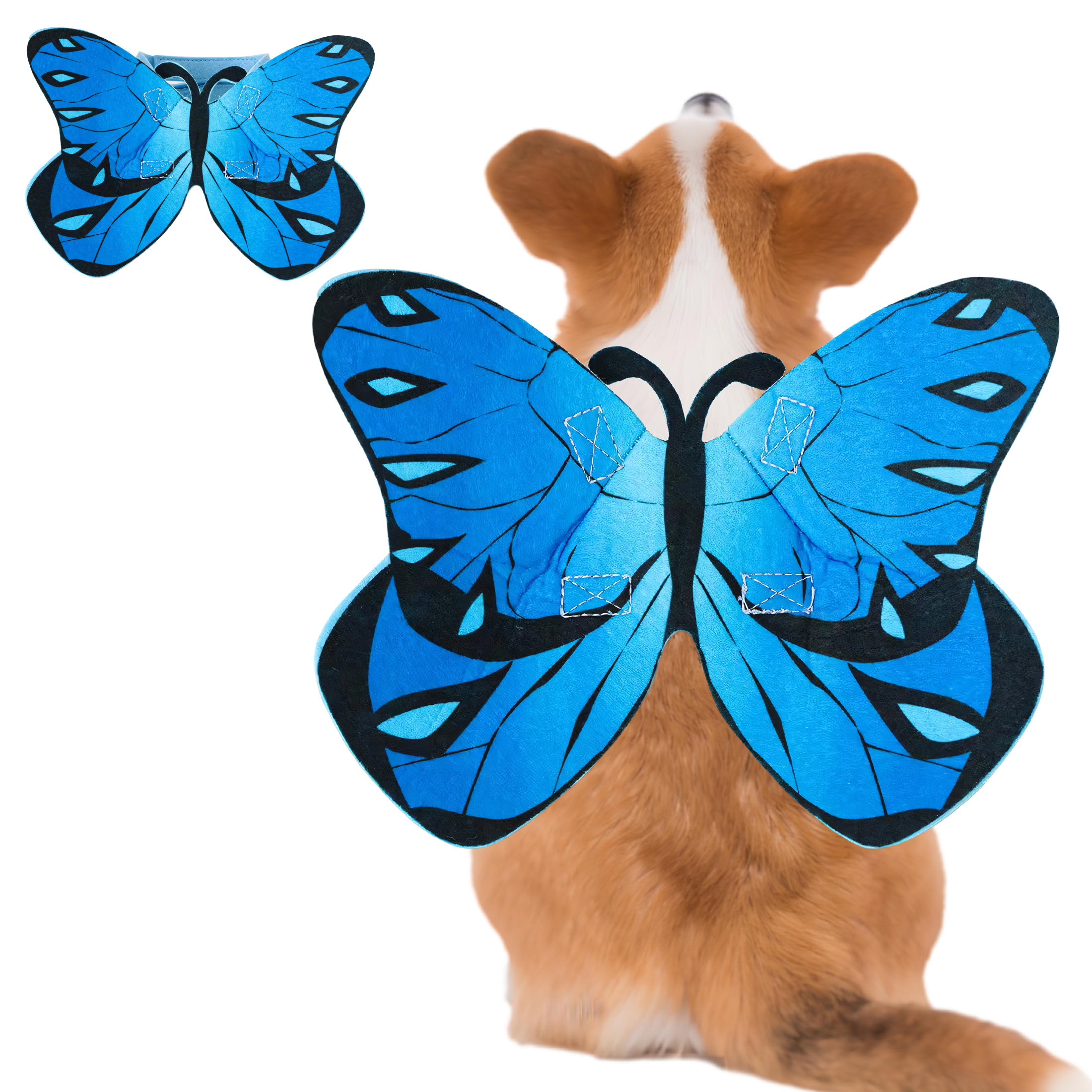 Dog Butterfly Costume