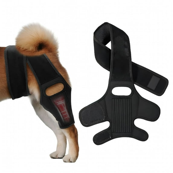 GASTROPOD Dog Hip Knee Leg Brace Adjustable Dog ACL Brace for Back Hind ...