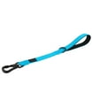 Taglory Long Lead 16ft Extended Retractable Dog Leash for Small to ...