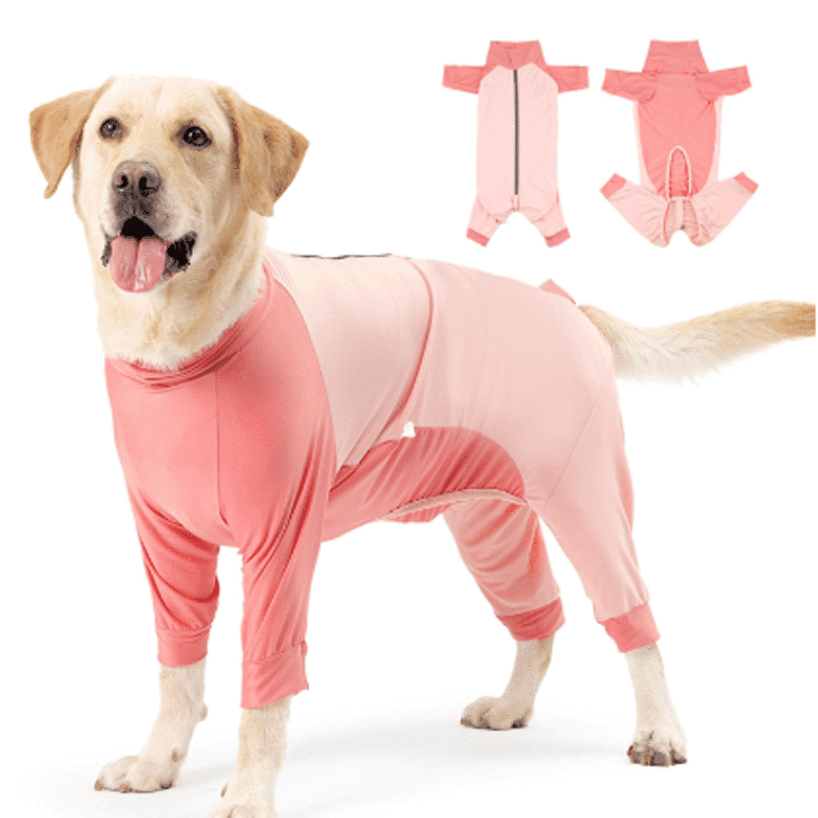 GASTROPOD Dog Recovery Suit,Breathable Lightweight and Flexible Fabric ...