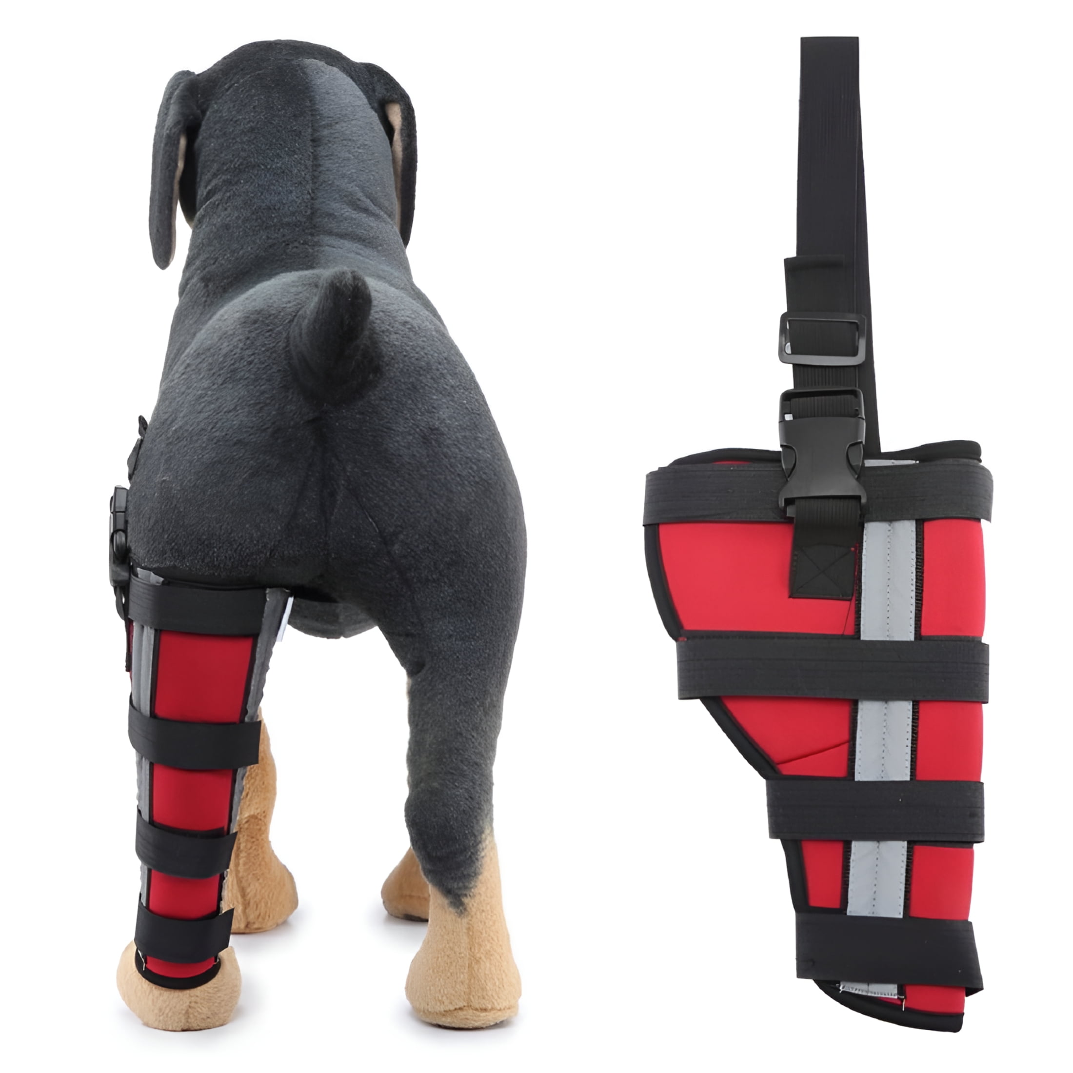 GASTROPOD Pet Dog Hind Legs Protector Adjustable Knee Brace Leg Support ...