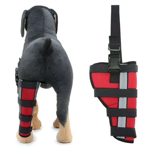 GASTROPOD Pet Dog Hind Legs Protector Adjustable Knee Brace Leg Support ...