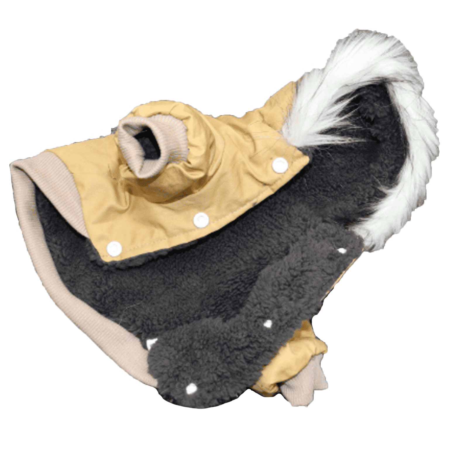 GASTROPOD Pet Dog Warm Snowsuit,Windproof Outer Layer for Outdoor ...