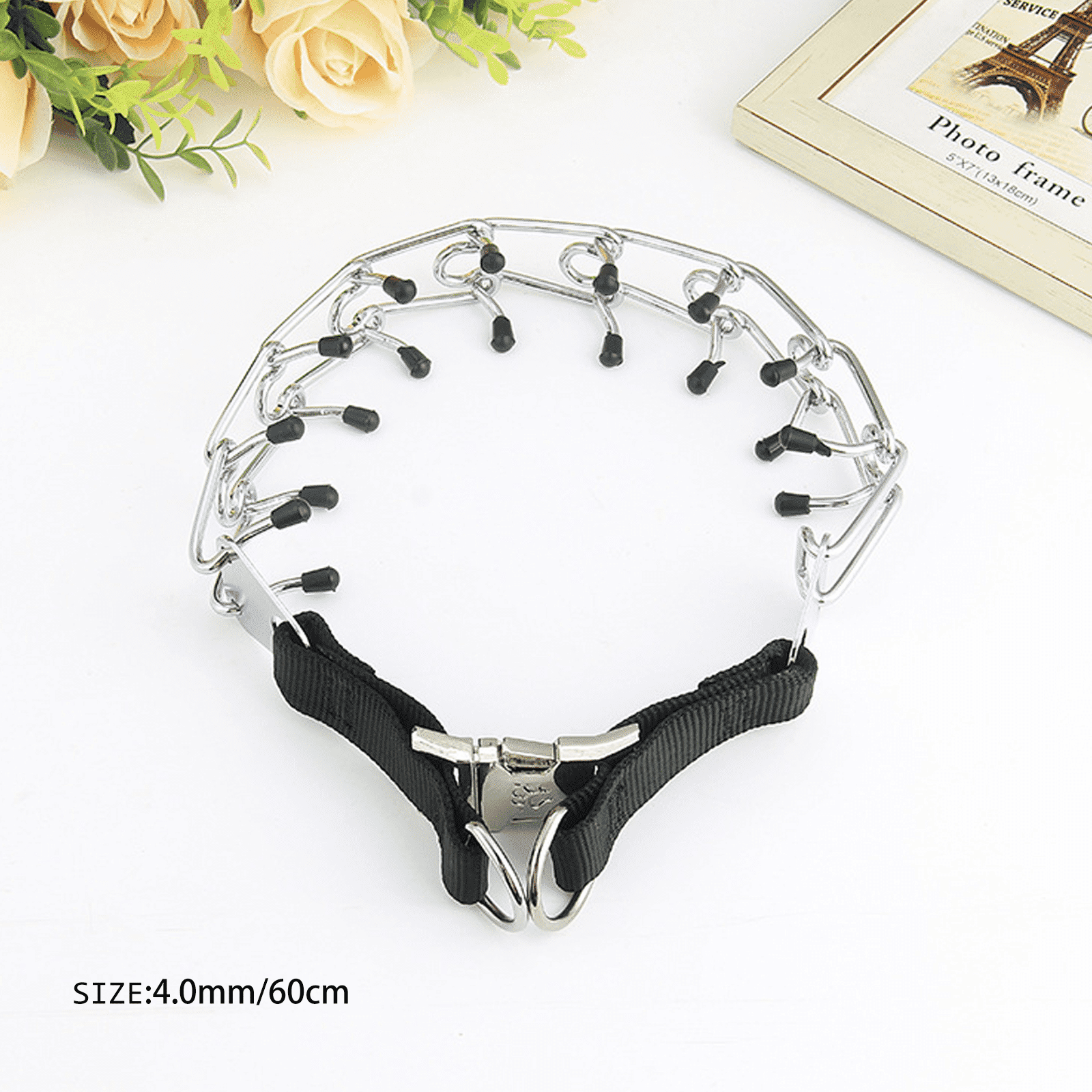 ASTROPOD Prong Collar for Large Dogs,Safe Stainless Steel for Dog ...