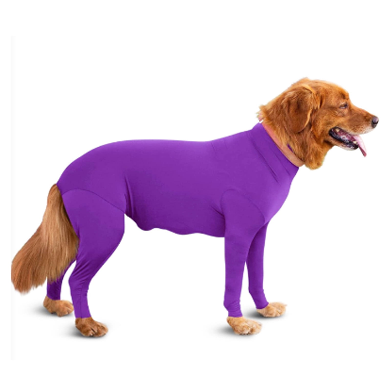 GASTROPOD Recovery Suit for Dogs,Versatile Design Dog Onesie,Seamless ...