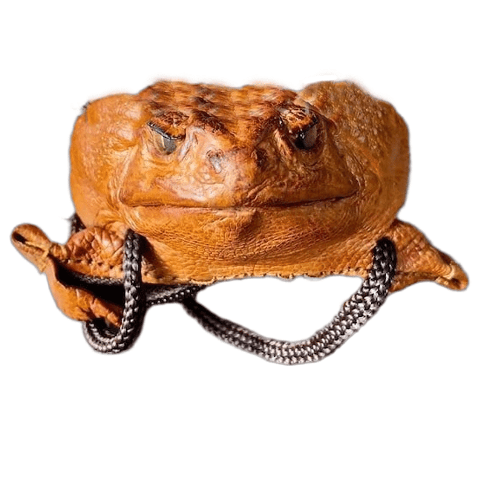 GASTROPOD Tote Bag,Toad Toad Full Body Wallet Backpack Purse,Decorative ...