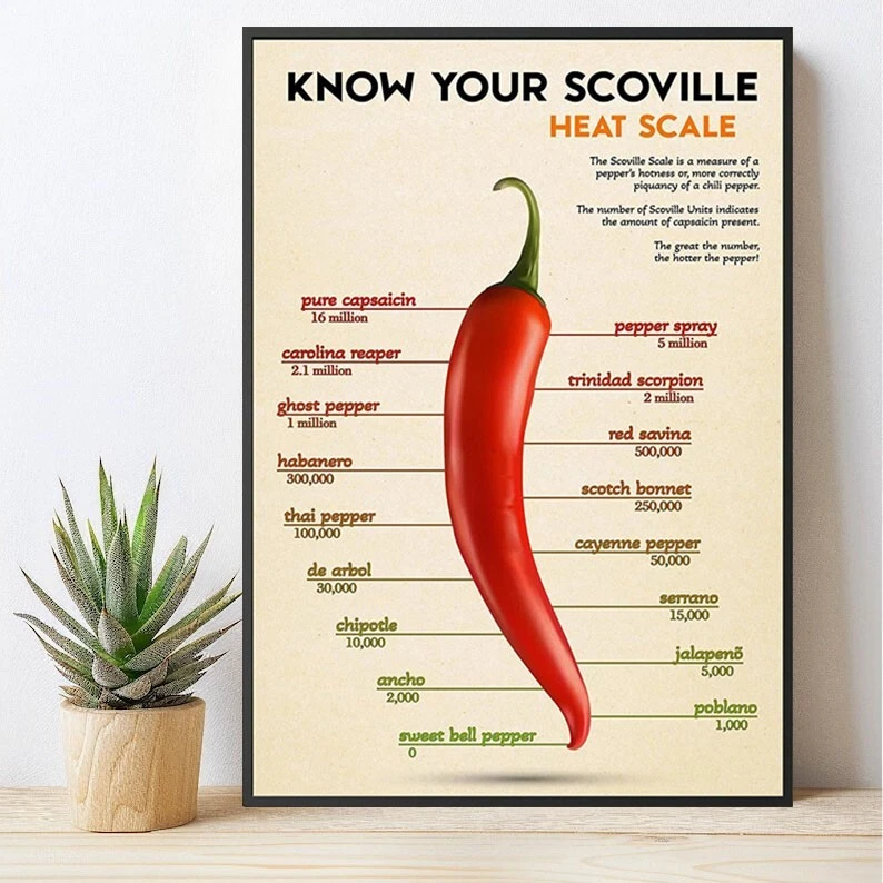GATEGOO Poster Know Your Scoville Heat Scale Wall Art, Spiciness And ...