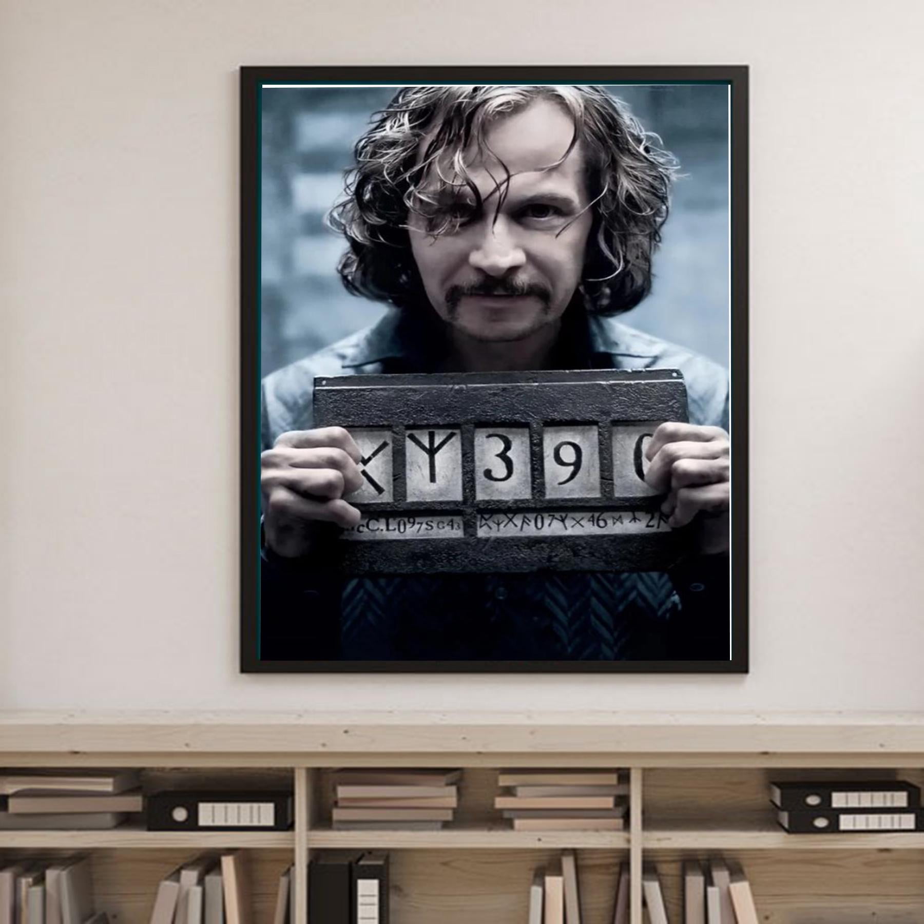 GATEGOO Poster Sirius Prisoner Poster Thoughtful Gift For Adventure ...