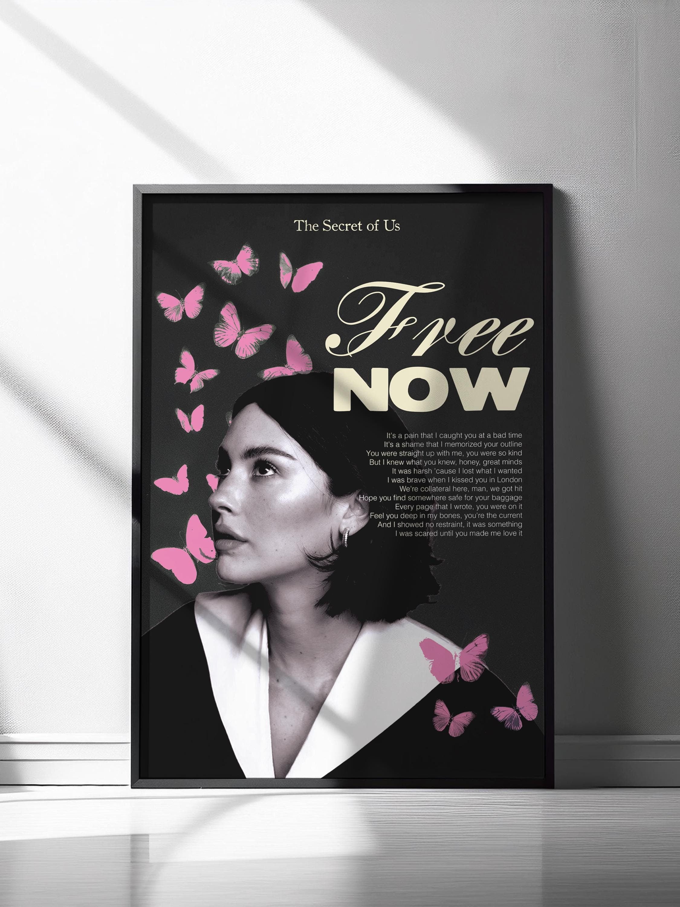 GATEGOO Poster The Secret Of Us Free Now Gracie Aesthetic Wall Art ...