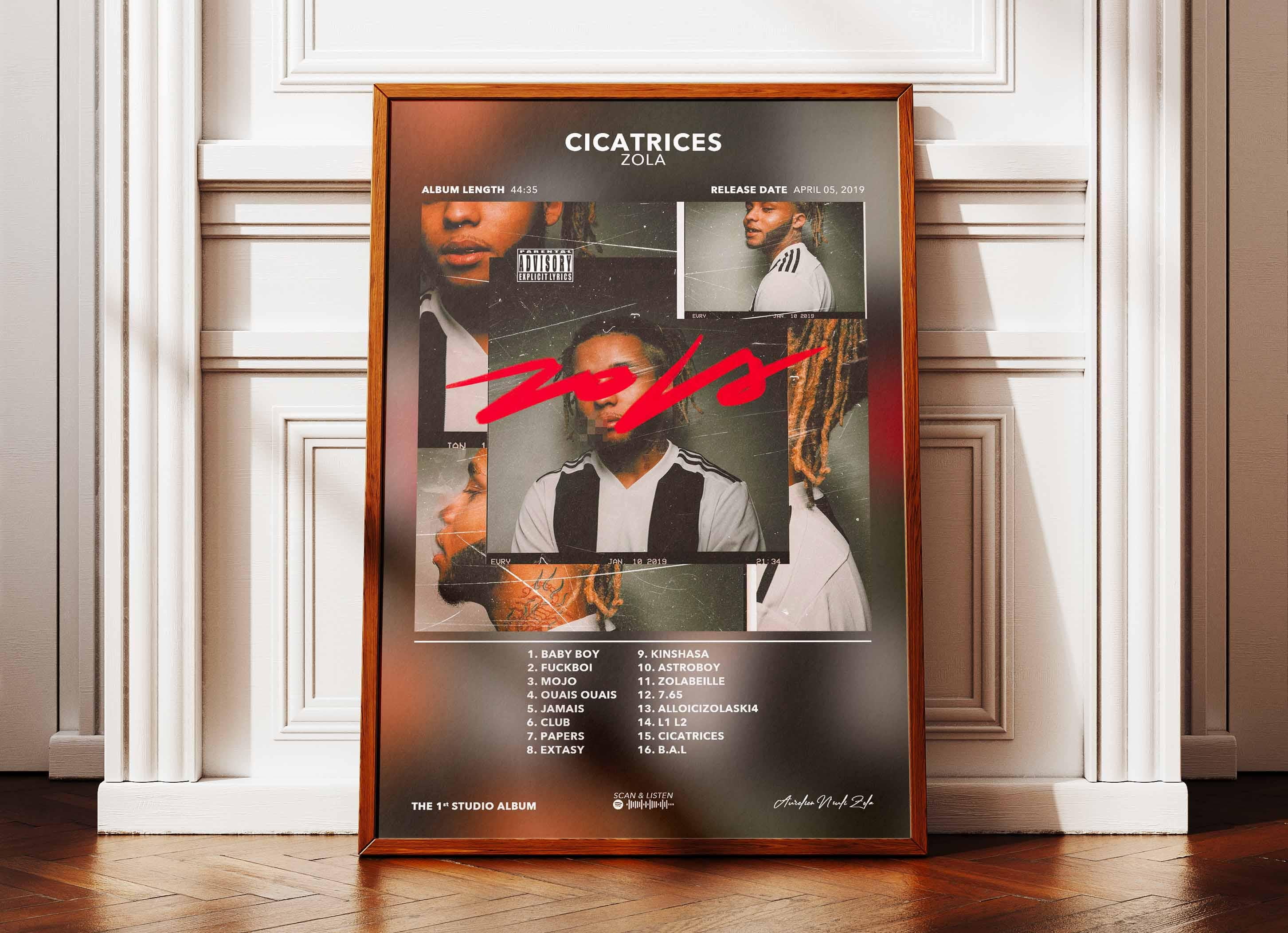 GATEGOO Poster Zola Scars Album Poster | Zola Album Poster | Rapper ...