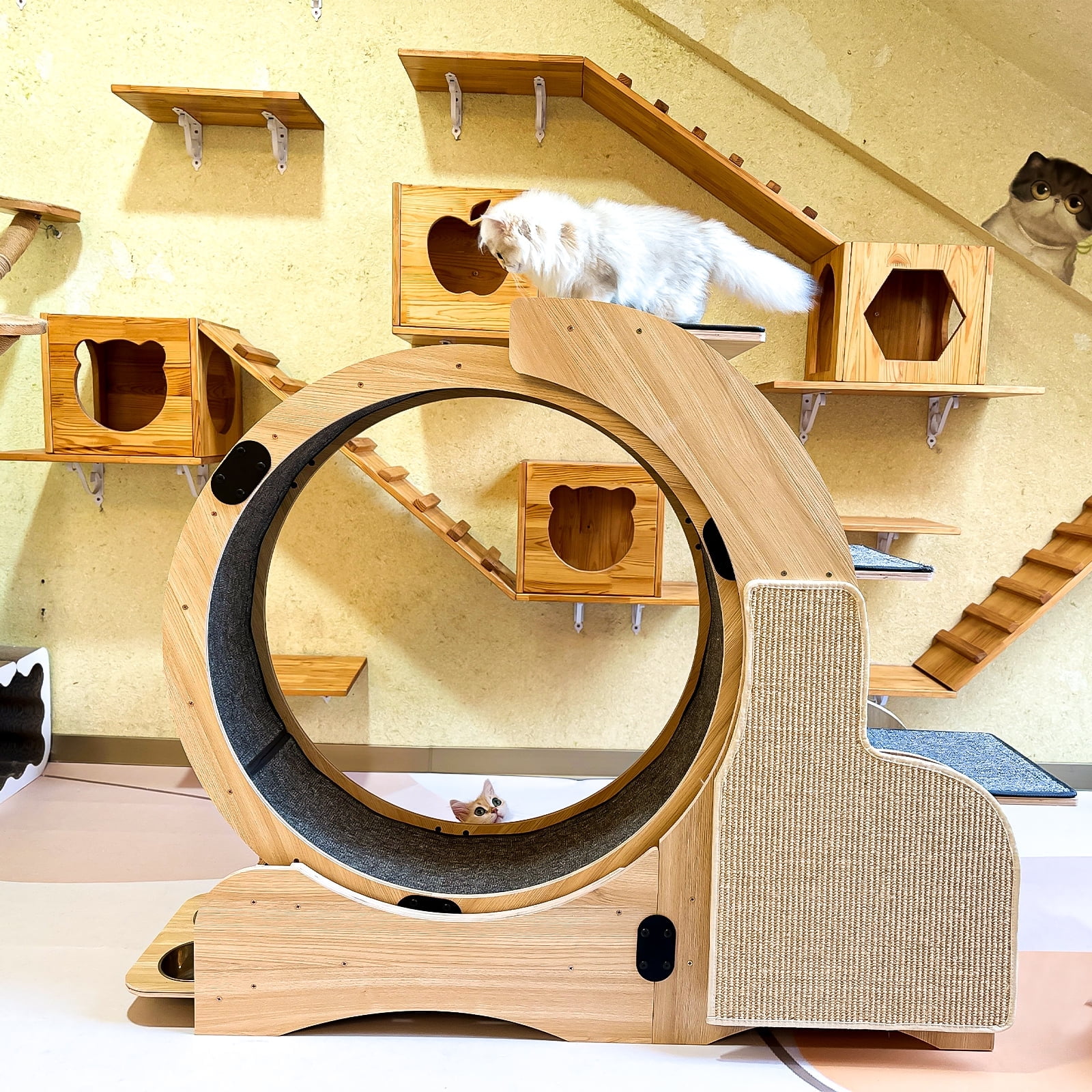 GATROPOD 5-in- Cat ports Running Wheel,Cats Wheel Wood Climbing Frame ...