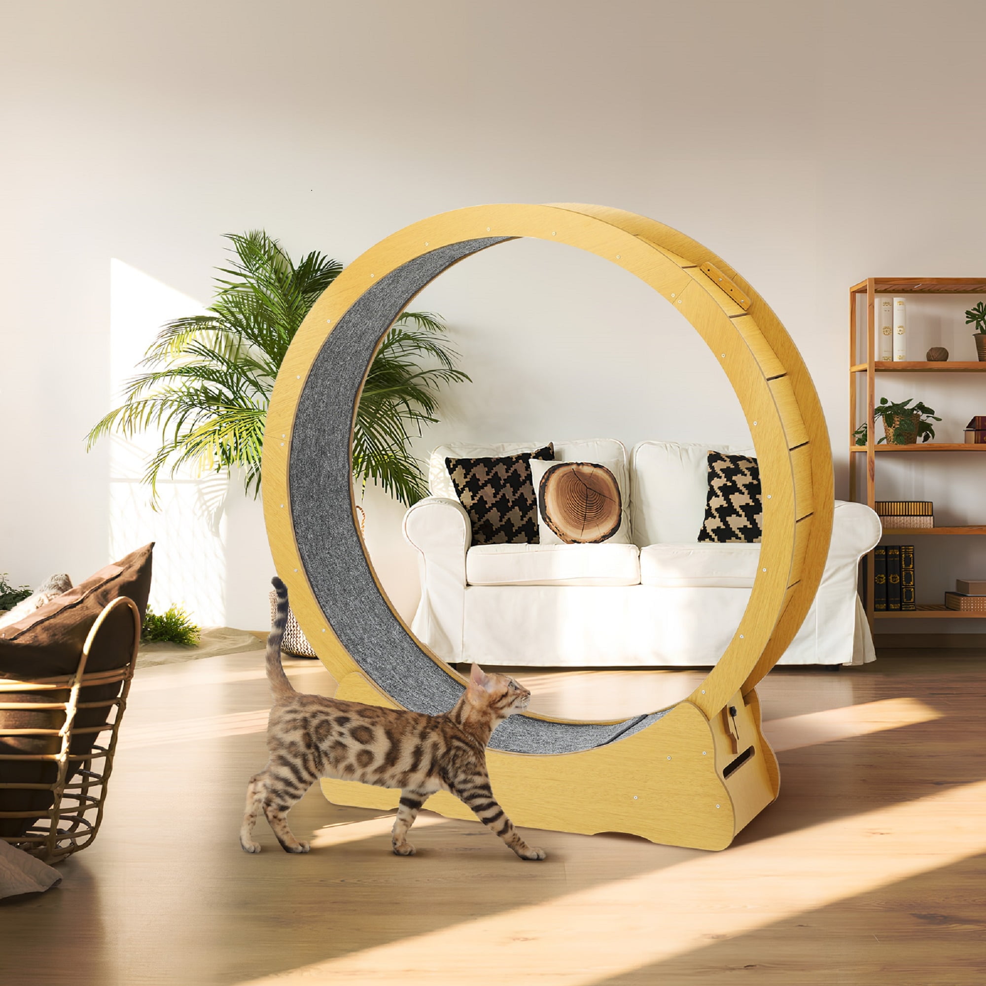 GATROPOD 55.5" Large Cat Treadmill Wheel Cat Exercise Wheel with ...