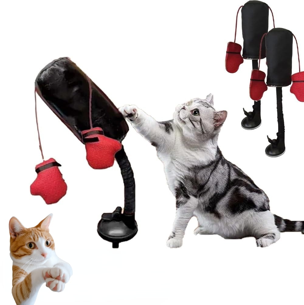 GATROPOD Repairig Cat Boxing Toys,Interactive Kitten Toys Punching Bag ...