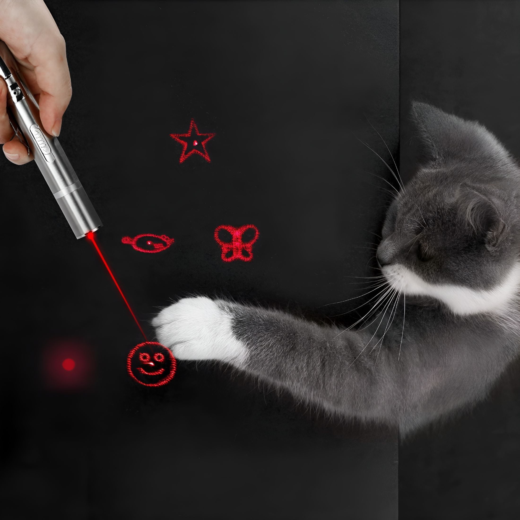 GATROPOD UB Rechargeable uper Laser Pointer Pen 3 in Cat Pet Toy Red UV ...