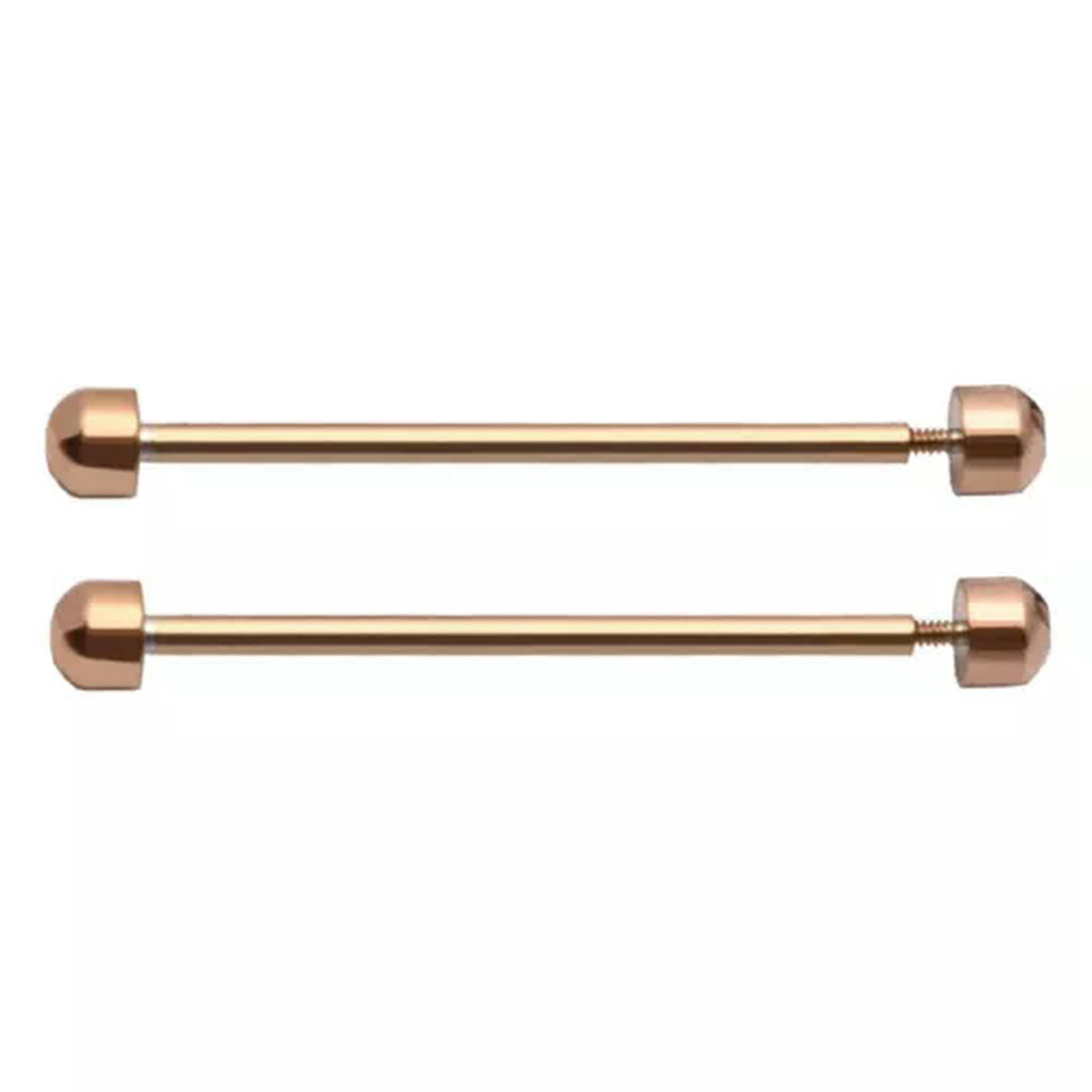 GAVONO 2 Pcs Watch Strap Screw Pins Connection Rod Watch Lug Pins Band ...