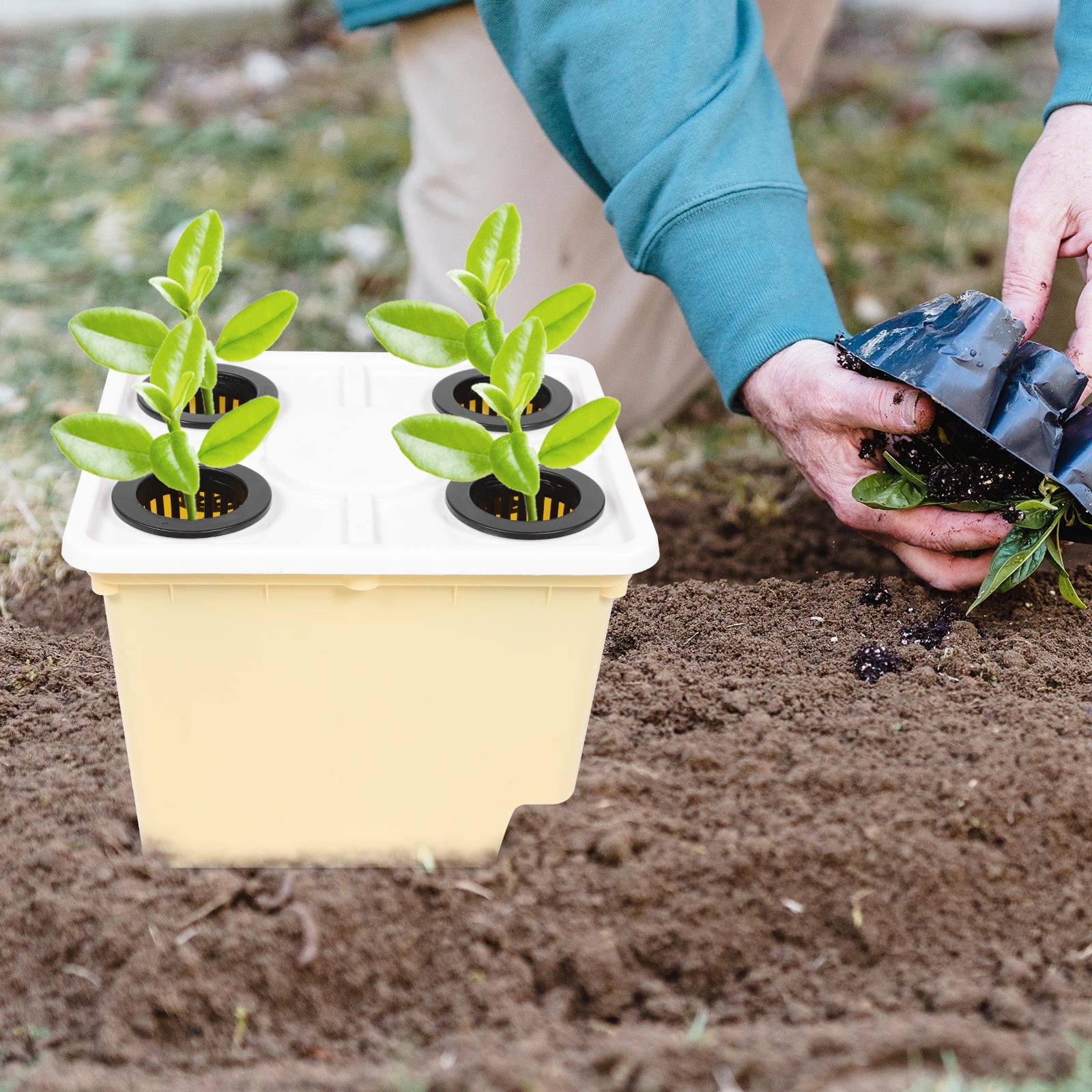 GAXIRE 1Pcs Hydroponic for Root Strengthening and Promoting Growth in ...