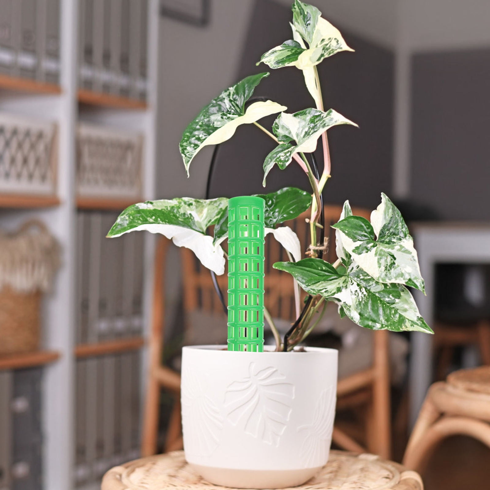 GAXIRE 2Set Moss Poles for Climbing Plants Monstera Stackable ...