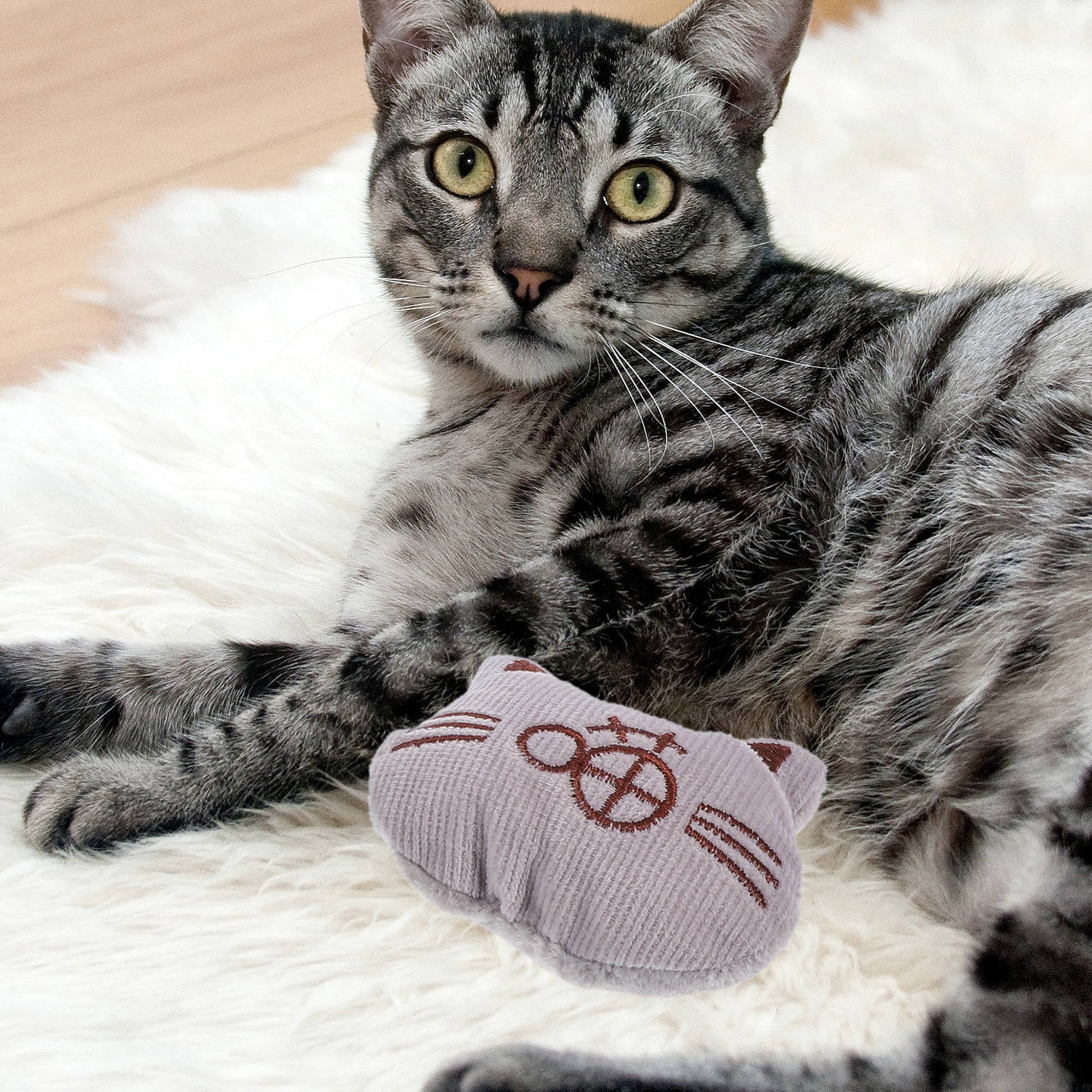 GAXIRE Cat Mint Toy Plush 3Pcs 3In - Walmart.com