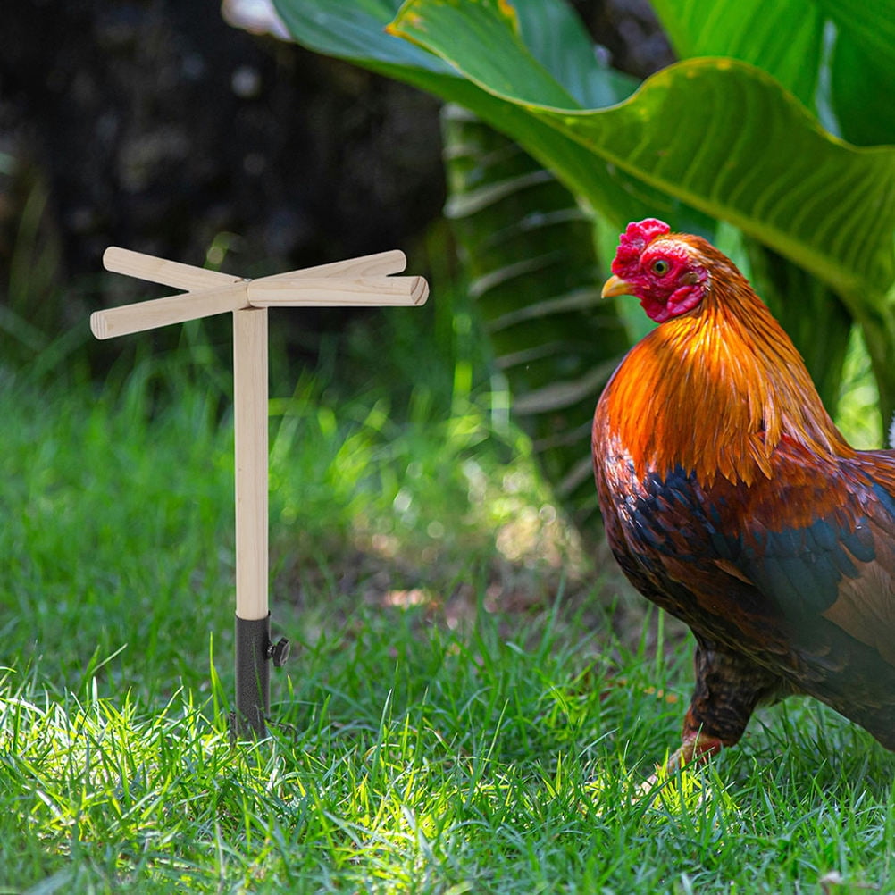 GAXIRE Bird Perches Stand for Outdoor Use Khaki Wooden Iron 1Set ...