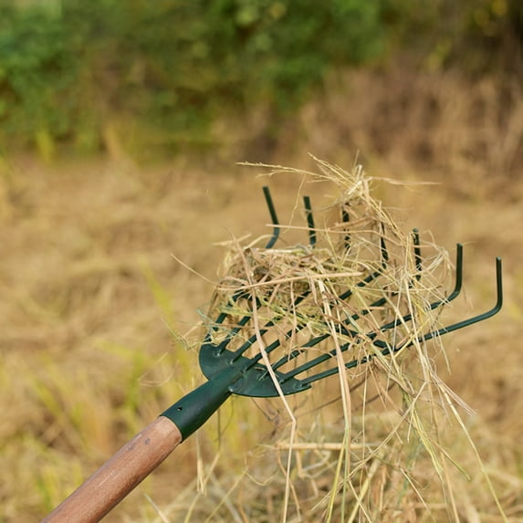 GAXIRE Heavy Duty Iron Garden Rake Dark Cleaning Tool Landscaping ...