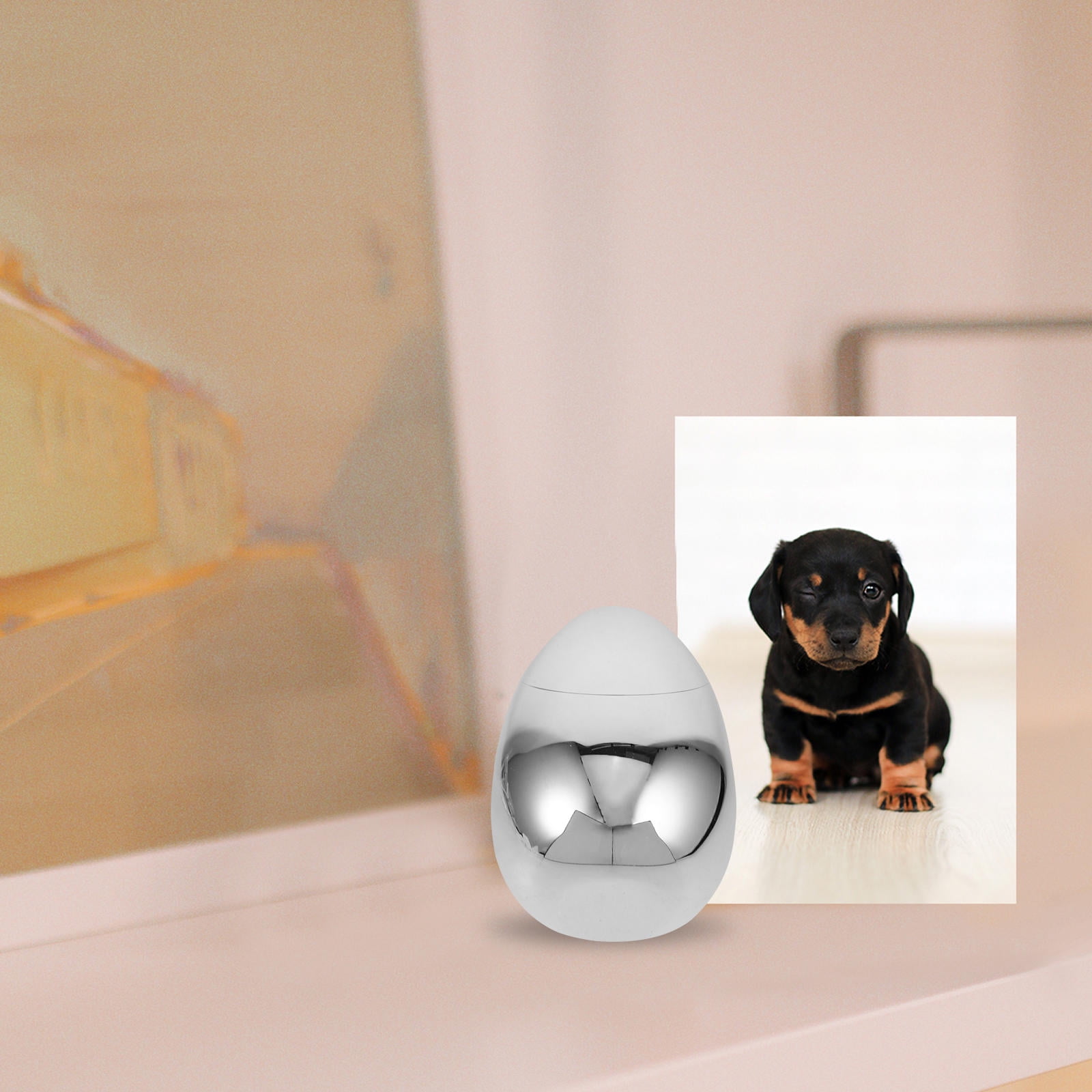 GAXIRE Pet Memorial Urn Small Cremation Ashes Container 1Set Stainless ...