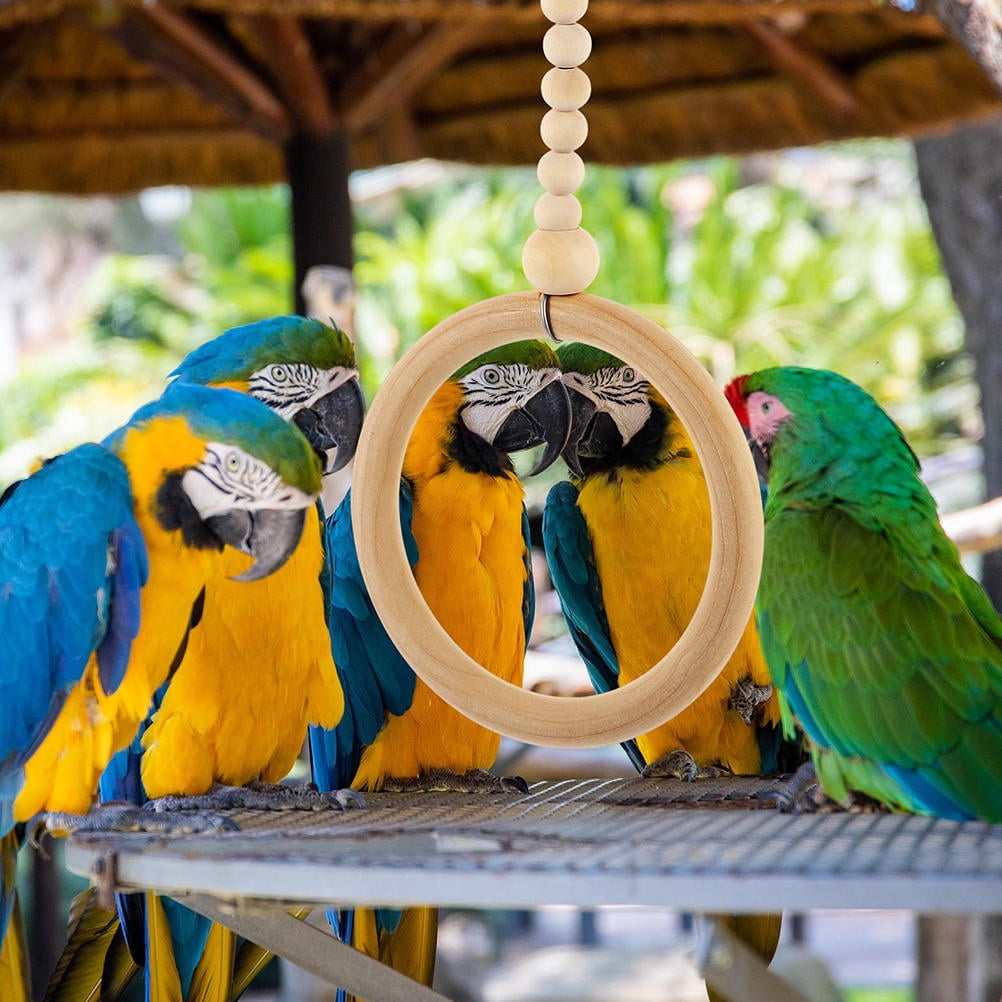 GAXIRE Bird Swing Toy Wooden Circle 1Set 10.6x4.3in - Walmart.com