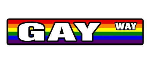 GAY Street Sign homosexual same sex lesbian bisexual | Indoor/Outdoor ...