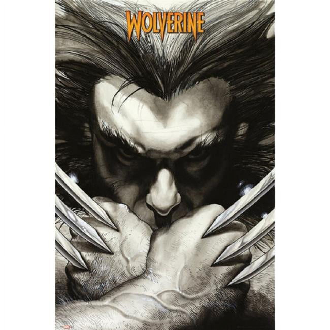 GB Eye XPE160247 Marvel Wolverine Claws Poster Print, 24 x 36 - Walmart.com