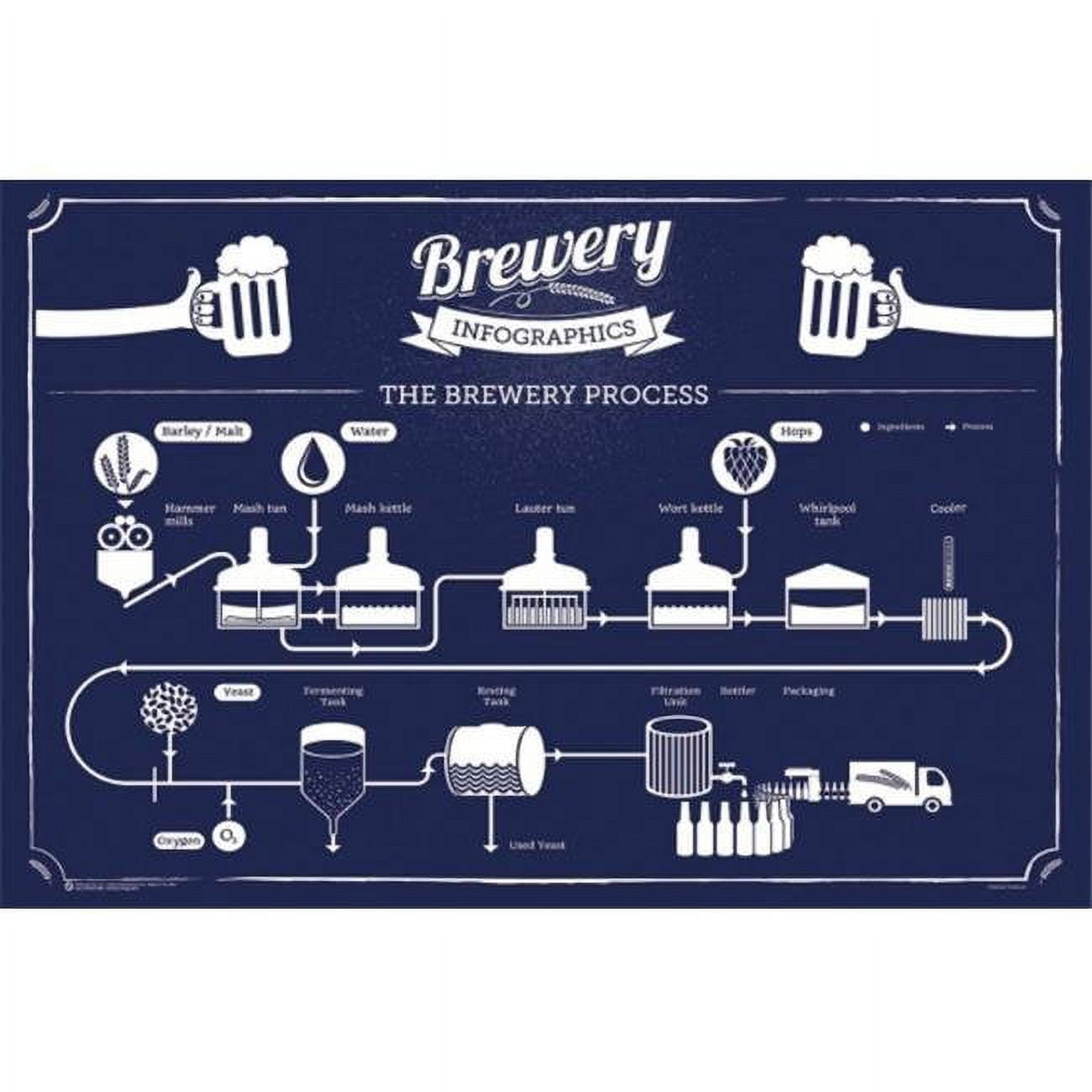 GB Eye XPE160250 Brewery Infographic Poster Print, 24 x 36 - Walmart.com