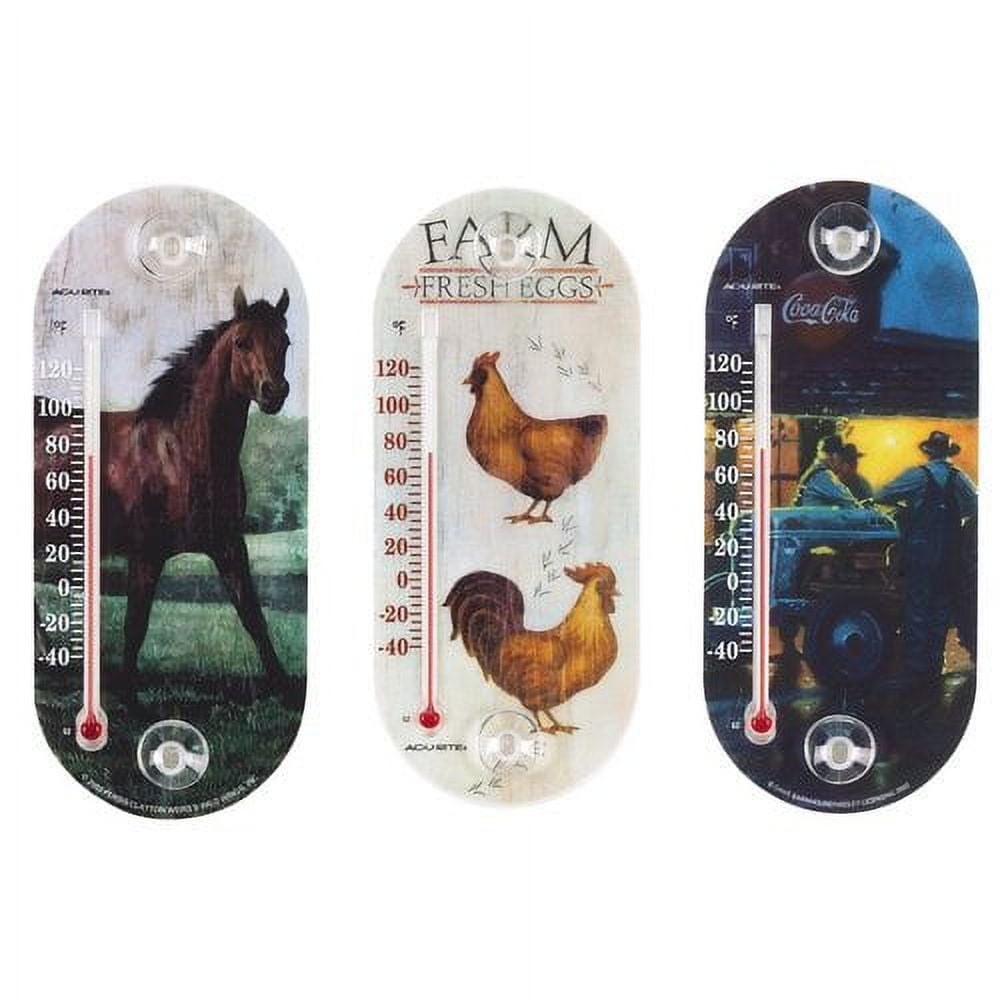 GB Industrial Direct CO P 00469A1 Chaney Instruments Thermometer ...